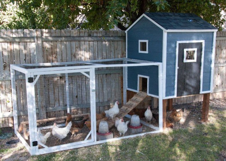 16 Home-Made Chicken Coops for Every Chick