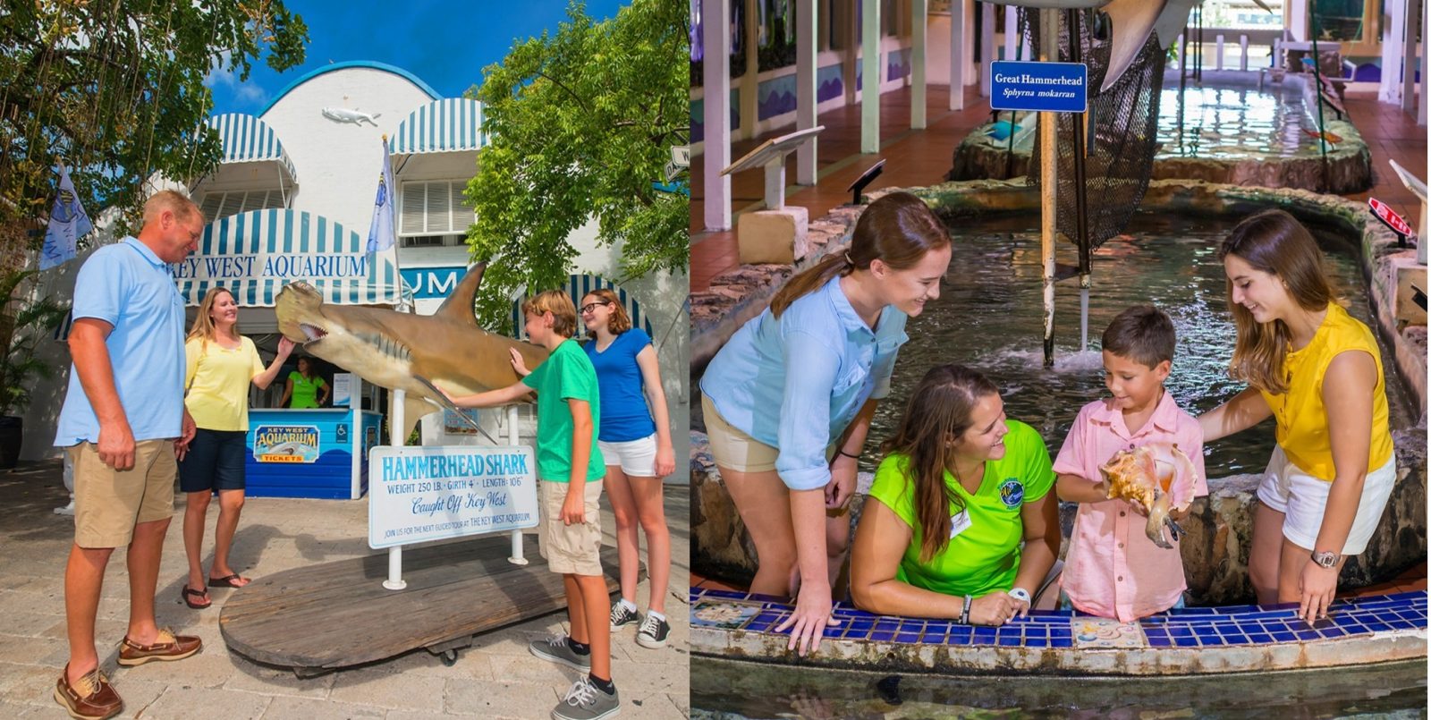 Things to Do in Key West With Kids: Family-Friendly Attractions and ...