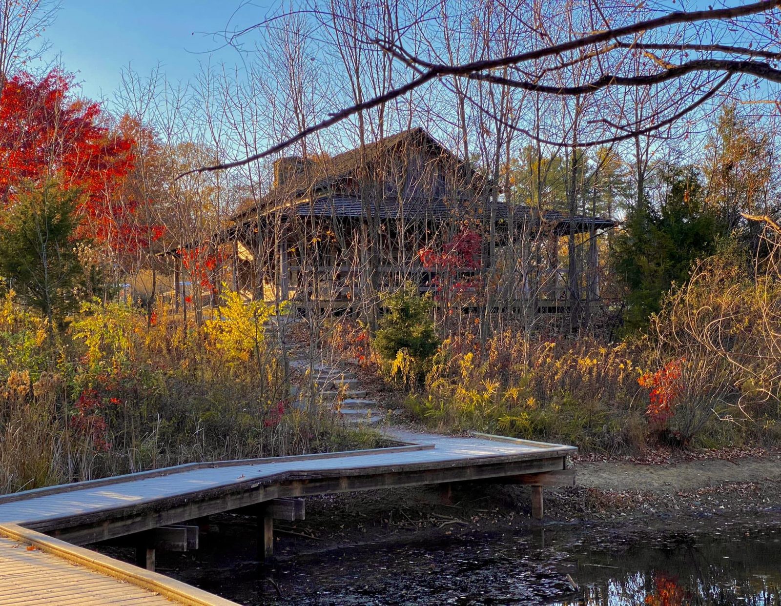 Things to Do in Cincinnati with Kids: Family-Friendly Attractions and ...