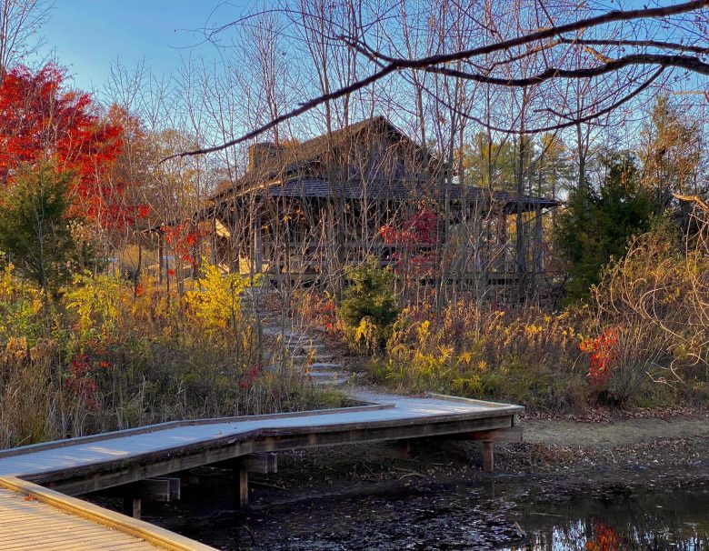 Things to Do in Cincinnati with Kids: Family-Friendly Attractions and ...