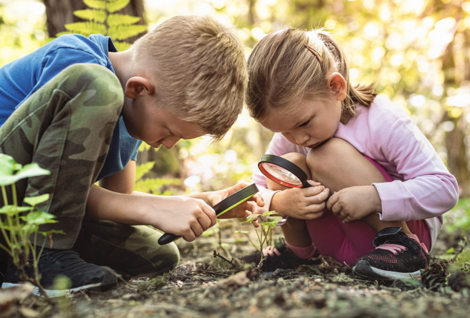 Raising Curious Kids: Tips For Encouraging Exploration