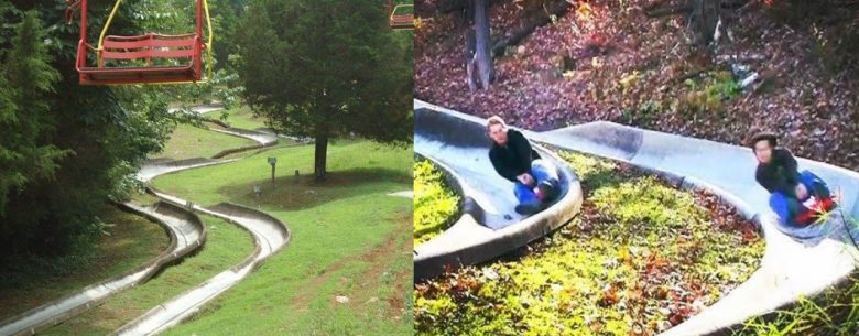 Things To Do In Kentucky With Kids: Your Ultimate Family Adventure Guide!