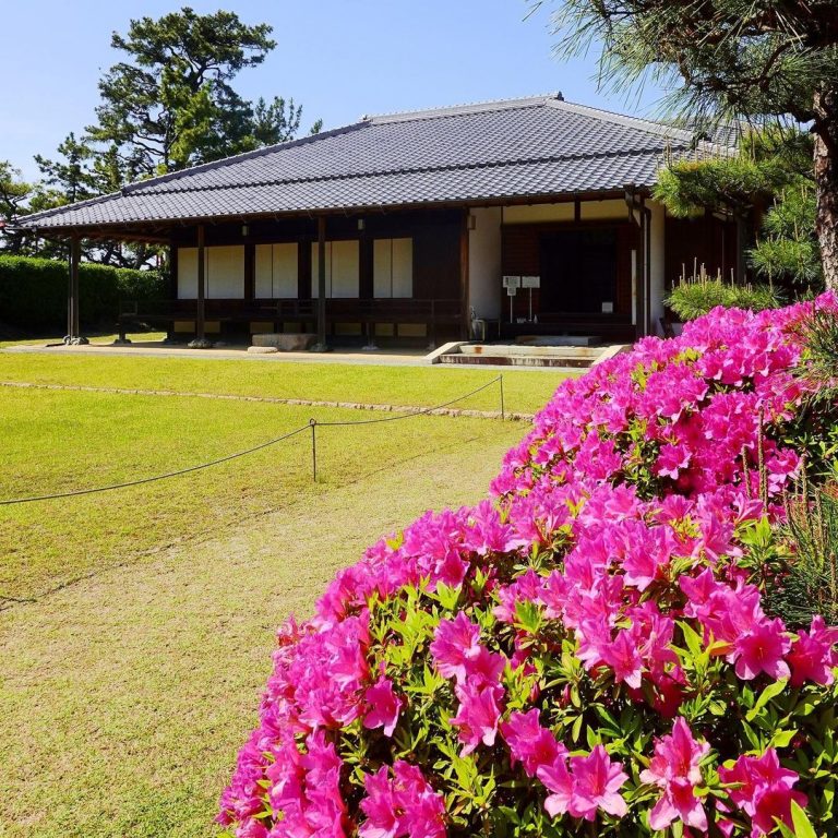 Azaleas Landscaping: Enhancing Your Garden's Charm with Vibrant Blooms