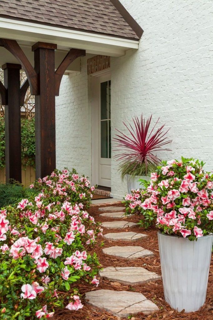 Azaleas Landscaping: Enhancing Your Garden's Charm with Vibrant Blooms