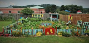 DIY Duck Enclosure Ideas: Easy and Fun Builds for Your Feathered Friends