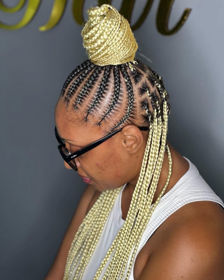 Fulani Braids Hairstyles: Chic Looks to Inspire Your Next Style