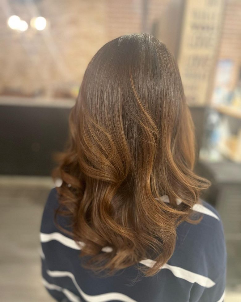 Dark Brown Hair with Lowlights: A Fresh Twist for Timeless Elegance