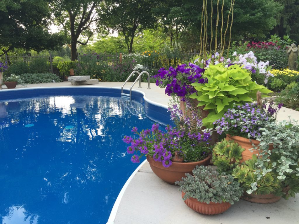 Best Plants Around the Pool: Easy-Care Options for Your Oasis