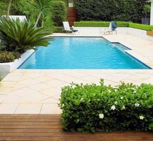 Best Plants Around the Pool: Easy-Care Options for Your Oasis