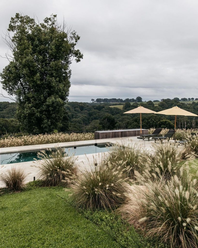 Best Plants Around the Pool: Easy-Care Options for Your Oasis