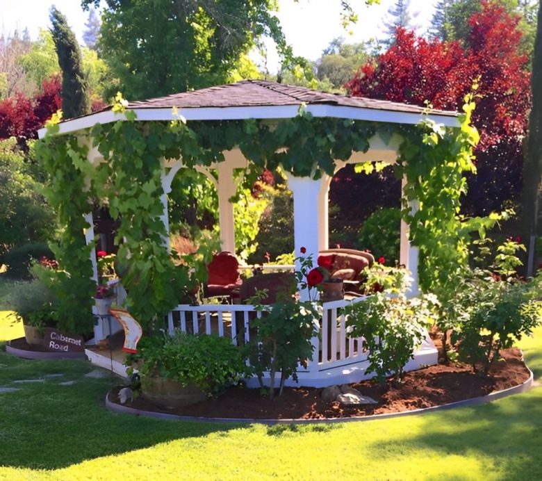 Outdoor Gazebo Ideas: Transform Your Backyard into a Cozy Retreat