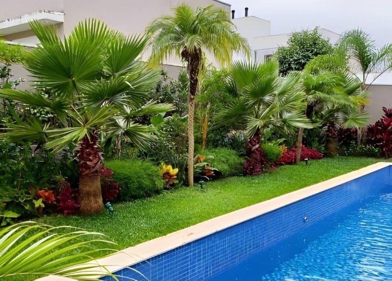 Best Plants Around the Pool: Easy-Care Options for Your Oasis
