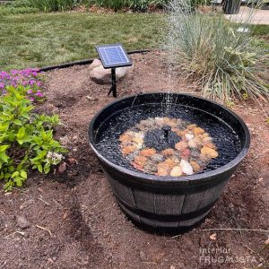 DIY Garden Fountains: Easy Steps to Enhance Your Outdoor Space
